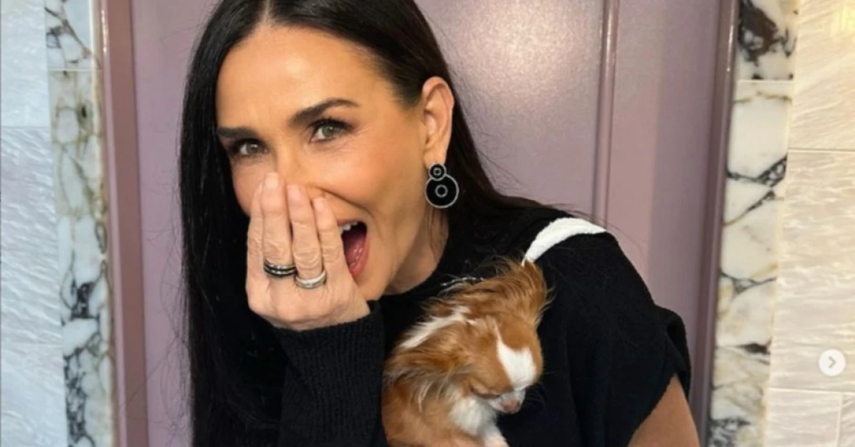 Demi Moore's dog Pilaf has reportedly passed away | BANG Premier